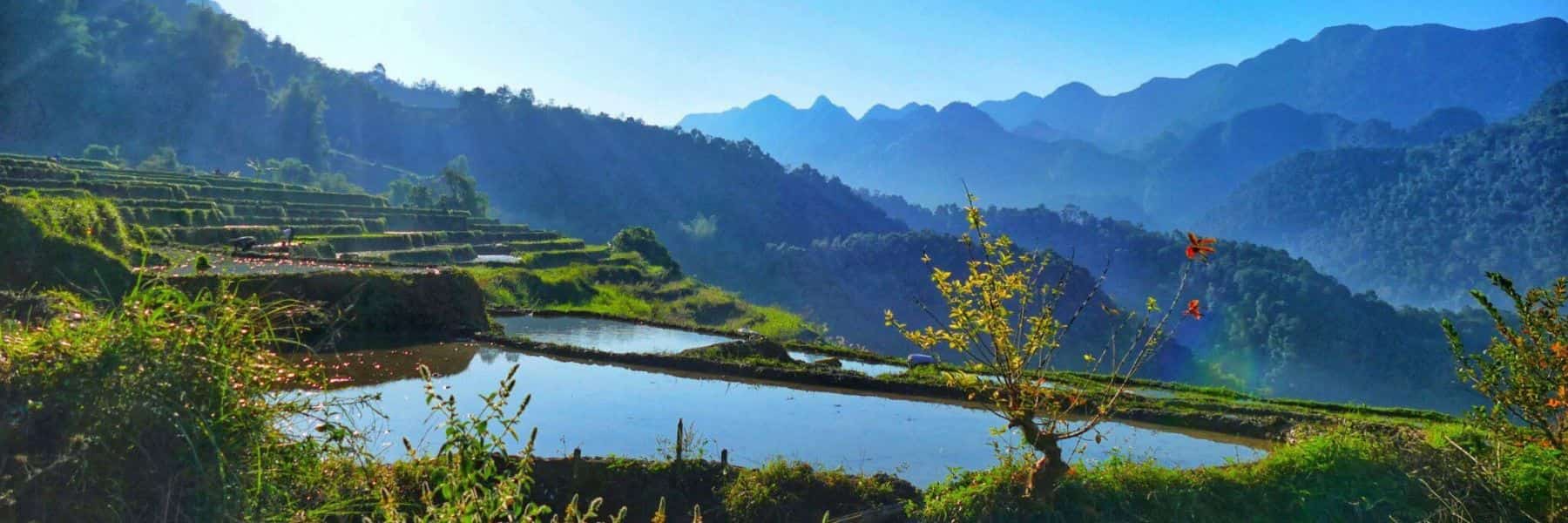 Pu Luong Nature Reserve- Local guides and tips to explore